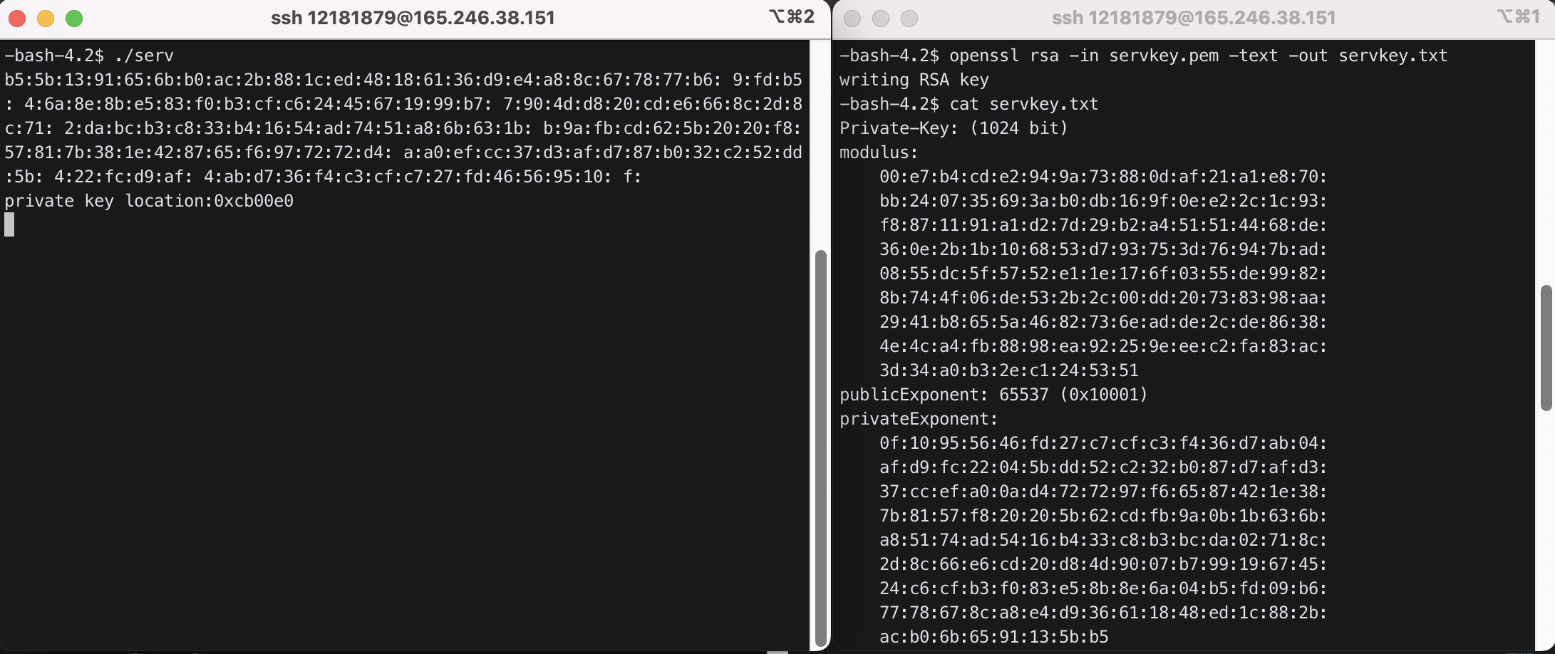 Heartbeat | Computer-Science